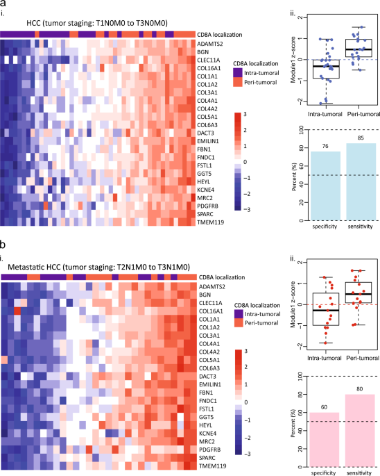 Transcriptomic analysis of hepatocellular carcinoma reveals molecular ...