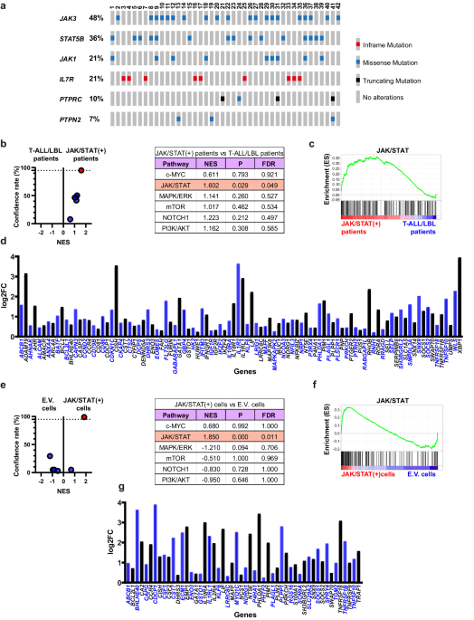 PIM1 is a potential therapeutic target for the leukemogenic effects mediated by JAK/STAT pathway ...