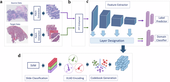 Learning generalizable AI models for multi-center histopathology image ...
