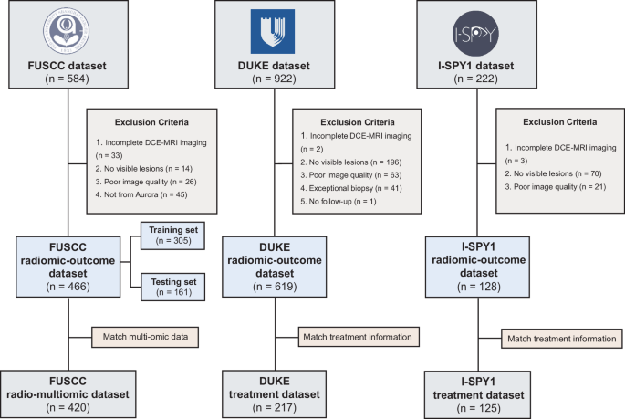 Multicenter radio-multiomic analysis for predicting breast cancer ...