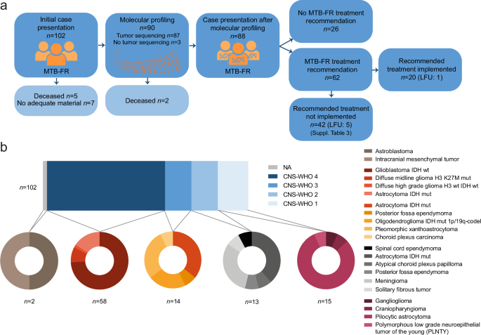 Comprehensive genetic profiling and molecularly guided treatment for patients with primary CNS ...