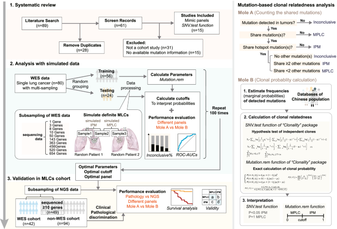 Optimizing the NGS-based discrimination of multiple lung cancers from ...