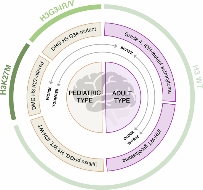 An integrated perspective on single-cell and spatial transcriptomic ...