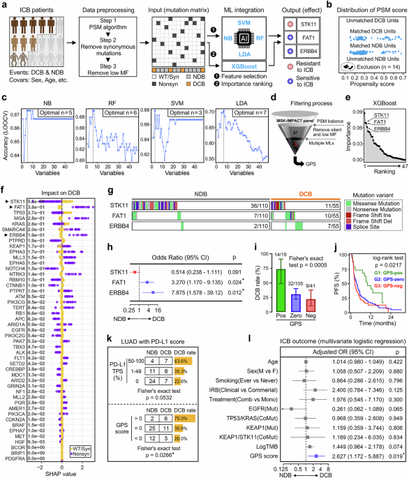 Integration of multiple machine learning approaches develops a gene mutation-based classifier ...