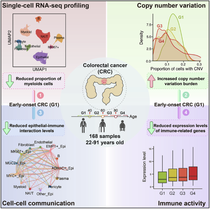 Single-cell integration analysis reveals molecular signatures of the ...