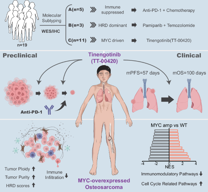 Targeting high-risk MYC-overexpressed osteosarcoma with an Aurora kinase inhibitor:--results ...