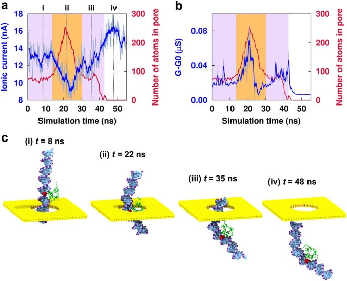 Detection And Mapping Of Dna Methylation With 2d Material Nanopores