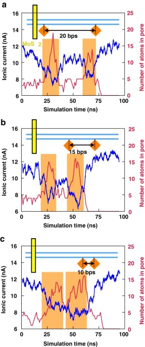 Detection And Mapping Of Dna Methylation With 2d Material Nanopores