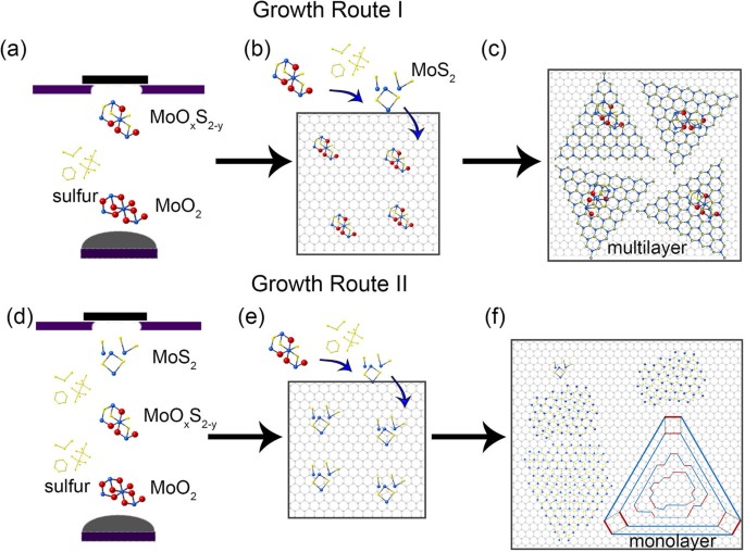 Capture the growth kinetics of CVD growth of two-dimensional MoS 2 ...