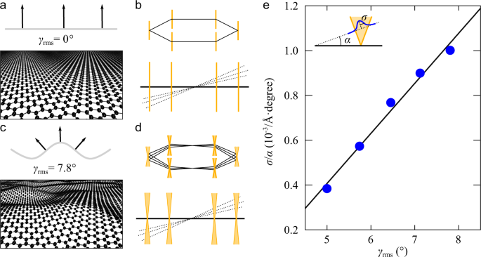 In situ control of graphene ripples and strain in the electron ...