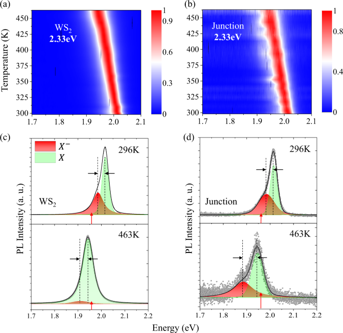 Interlayer charge transport controlled by exciton–trion coherent ...