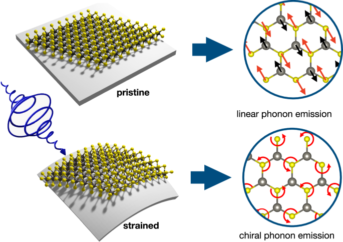 Strain-induced activation of chiral-phonon emission in monolayer WS2 ...