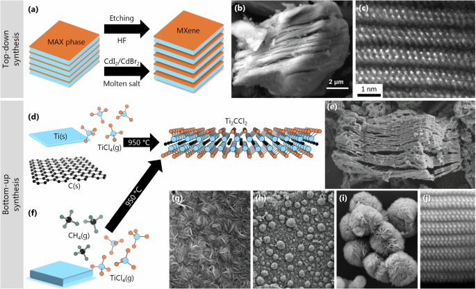 Chalcogen and halogen surface termination coverage in MXenes—structure ...