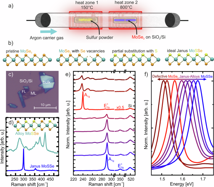 Unraveling the influence of defects in Janus MoSSe and Janus alloys ...