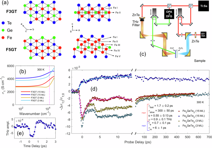 Light-driven electrodynamics and demagnetization in FenGeTe2 (n = 3, 5 ...