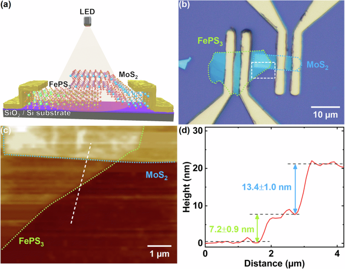 FePS3-MoS2 p-n junctions for broadband optoelectronics | npj 2D ...