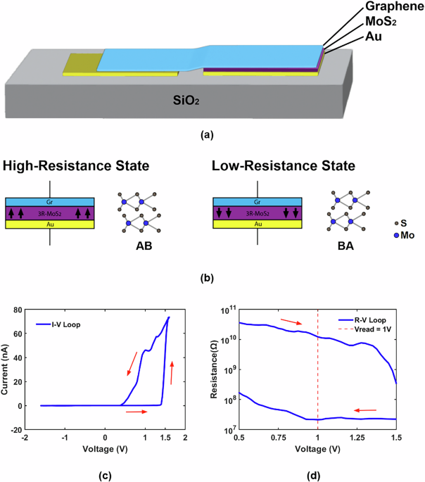 Multi-functional polymorphic memory based on 2D ferroelectric tunnel junctions | npj 2D ...