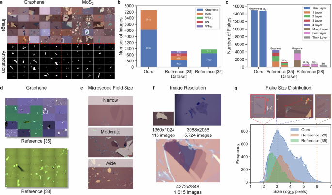 Large scale and diverse two-dimensional flake segmentation dataset by ...