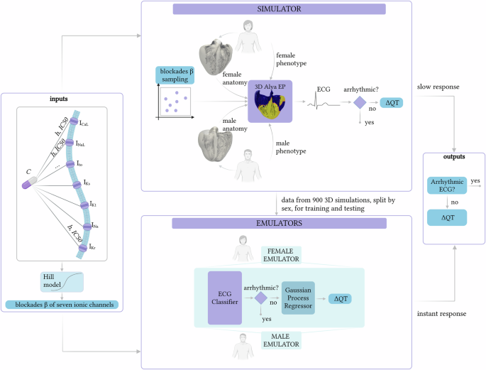Fast and accurate prediction of drug induced proarrhythmic risk with ...