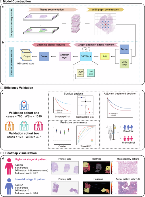 Whole slide image based deep learning refines prognosis and therapeutic ...