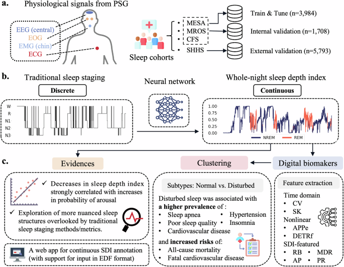 Continuous sleep depth index annotation with deep learning yields novel ...