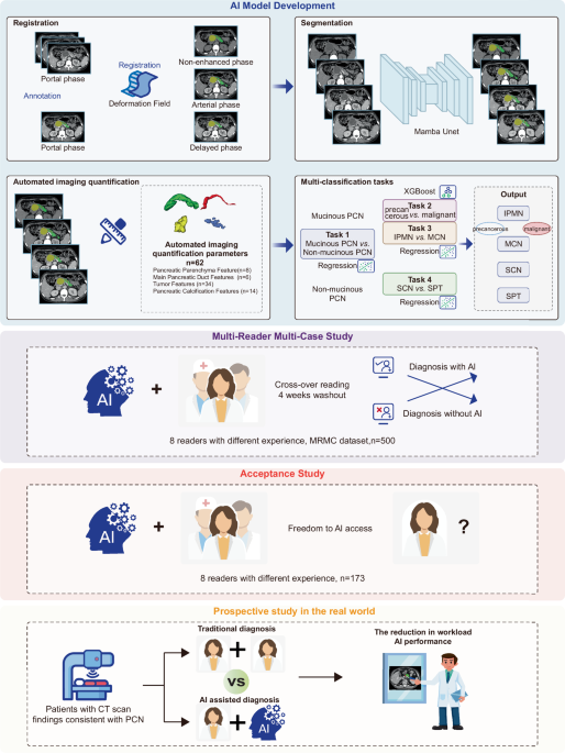 Deep learning CT model for stratified diagnosis of pancreatic cystic ...