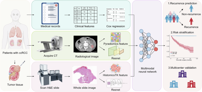 A multimodal AI model for precision prognosis in clear cell renal cell ...