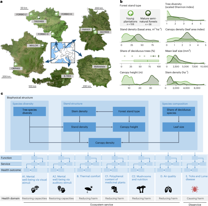 Forest biodiversity and structure modulate human health benefits and ...