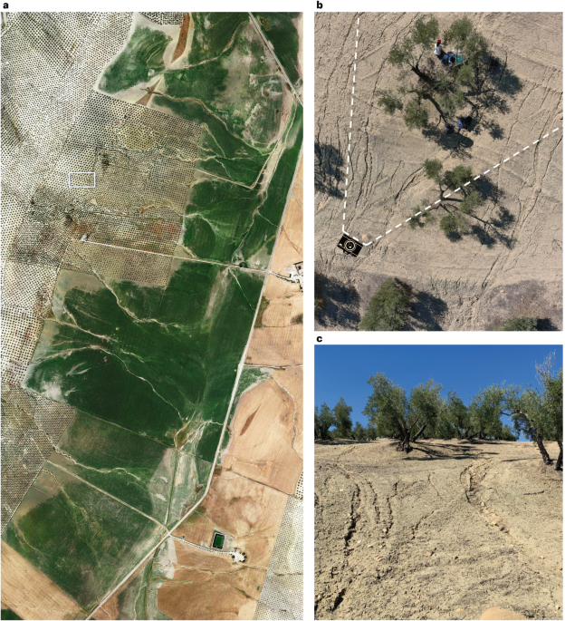 Unsustainably losing ground | Nature Sustainability