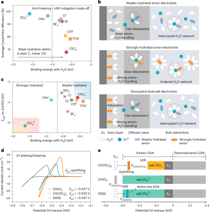 Decoupled dual-salt electrolyte for practical aqueous zinc batteries ...