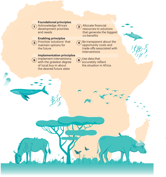 Six principles to get natural climate solutions right in Africa ...