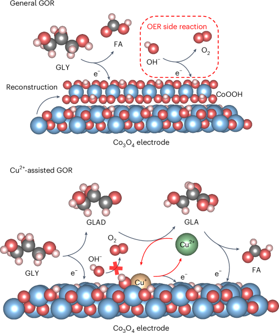 Glycerol Molecule Size