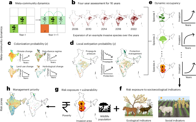 Invasive plants, climate change and tigers | Nature Sustainability