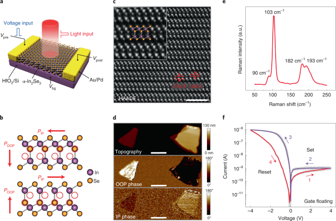An optoelectronic synapse based on α-In2Se3 with controllable temporal ...
