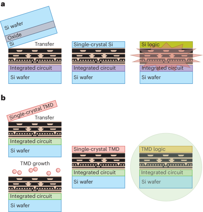 2D materials can unlock single-crystal-based monolithic 3D integration | Nature Electronics