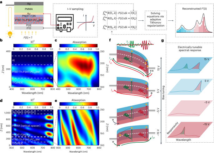 A microsized optical spectrometer based on an organic photodetector ...