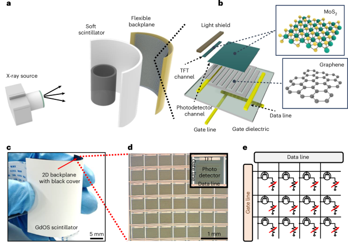 A flexible active-matrix X-ray detector with a backplane based on two ...