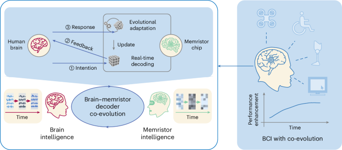 A memristor-based adaptive neuromorphic decoder for brain–computer interfaces | Nature Electronics