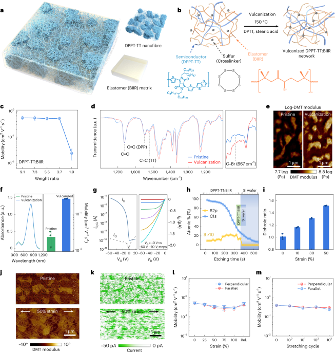 A biocompatible elastomeric organic transistor for implantable ...