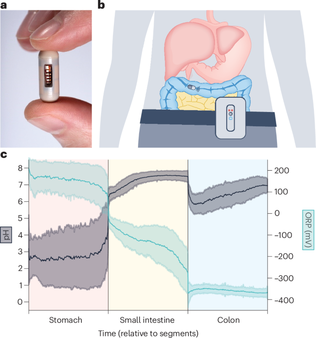 Ingestible sensors for redox balance | Nature Electronics