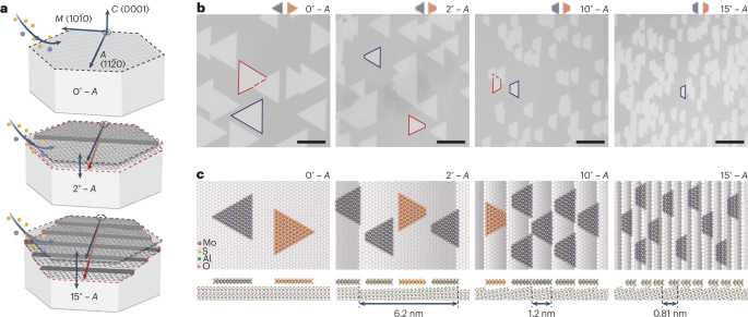 A step-by-step to quantum-grade monolayers | Nature Electronics