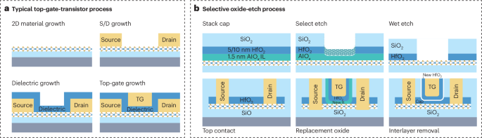 Steps to integrating 2D transistors into the back-end of line | Nature ...
