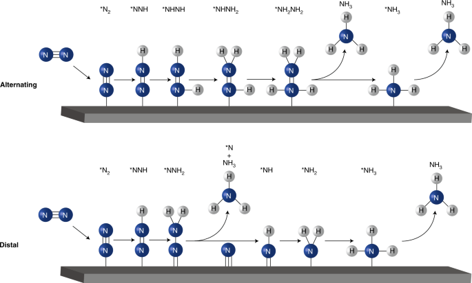 Catalysts for nitrogen reduction to ammonia | Nature Catalysis