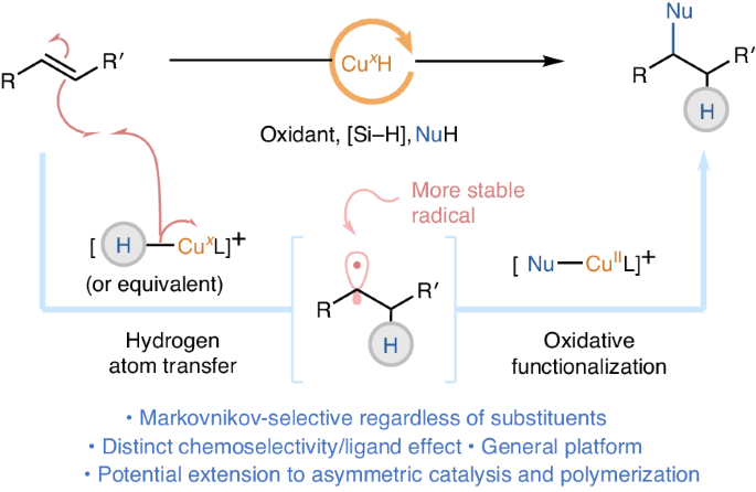Mimicking hydrogen-atom-transfer-like reactivity in copper-catalysed ...