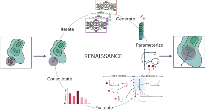 Generative machine learning produces kinetic models that accurately characterize intracellular ...