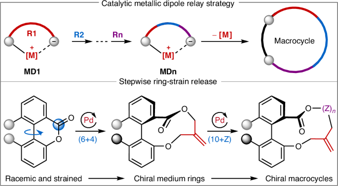 Enantioselective macrocyclization via catalytic metallic dipole relay ...