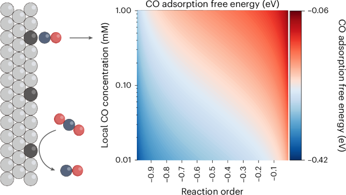 Determining CO adsorption free energies on CO2 electroreduction active ...