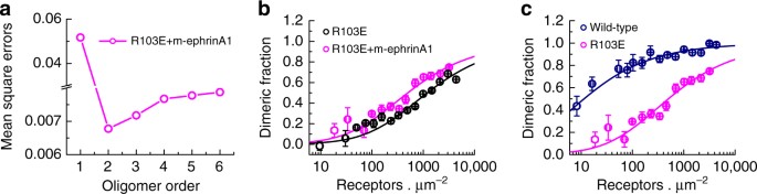 The EphA2 receptor is activated through induction of distinct, ligand ...