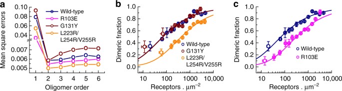 The EphA2 receptor is activated through induction of distinct, ligand ...