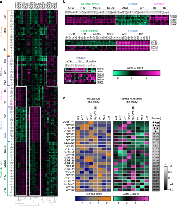 Expression map of 78 brain-expressed mouse orphan GPCRs provides a ...
